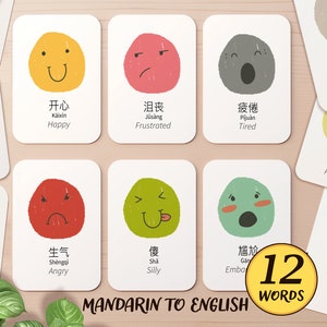 Emotions in Mandarin Chinese & English: Bilingual Flashcards for Kids ...