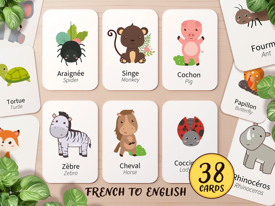 French & English Animal, Ocean and Insect Flashcards for Kids ...
