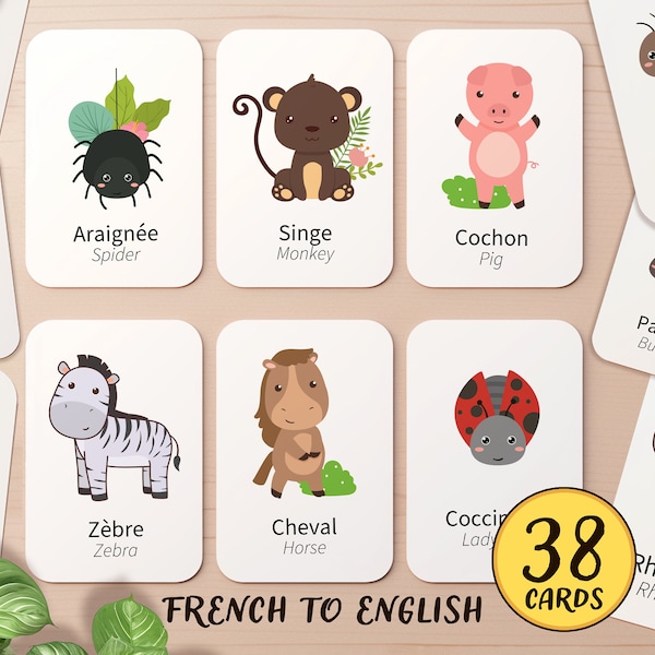 France Flashcards - Etsy