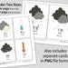 Weather in Mandarin Chinese & English: Bilingual Flashcards for Kids ...