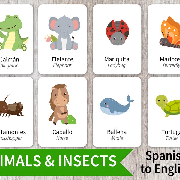 Spanish Flash Cards - Etsy