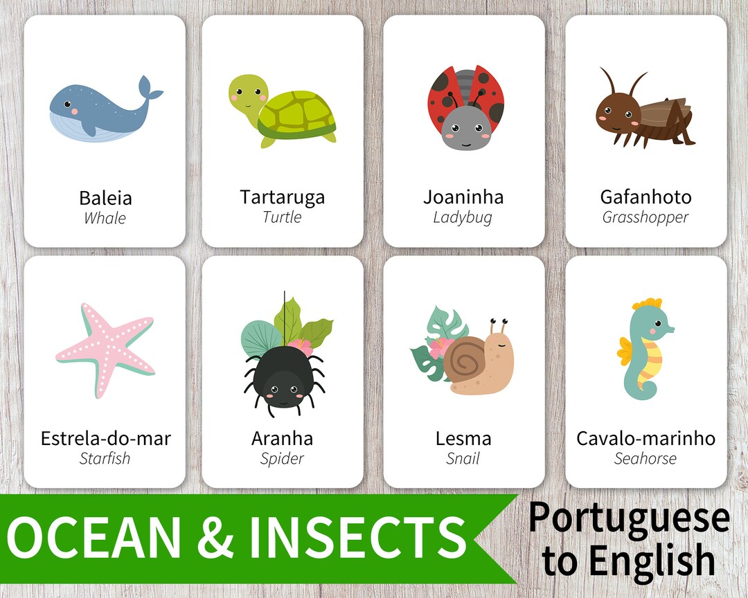 14 Portuguese & English Ocean and Insects Flashcards Printable - Etsy