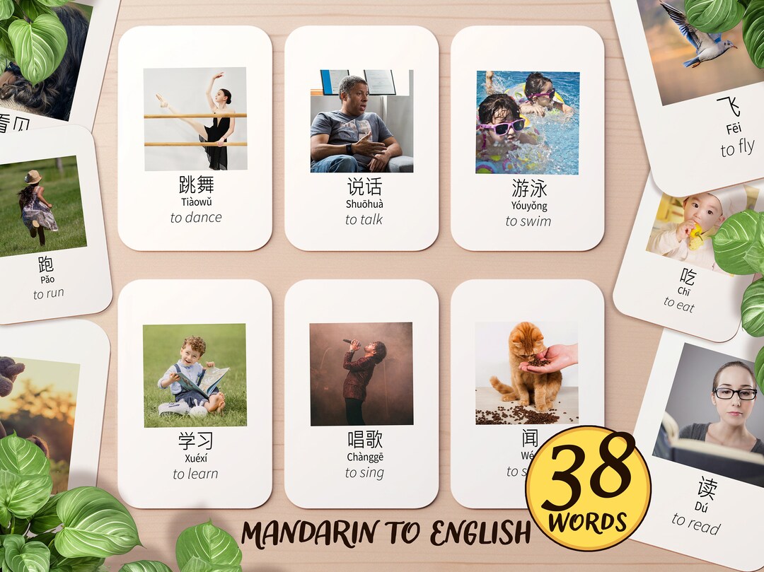 38 Mandarin & English Bilingual Verbs Flashcard Printable Learn ...