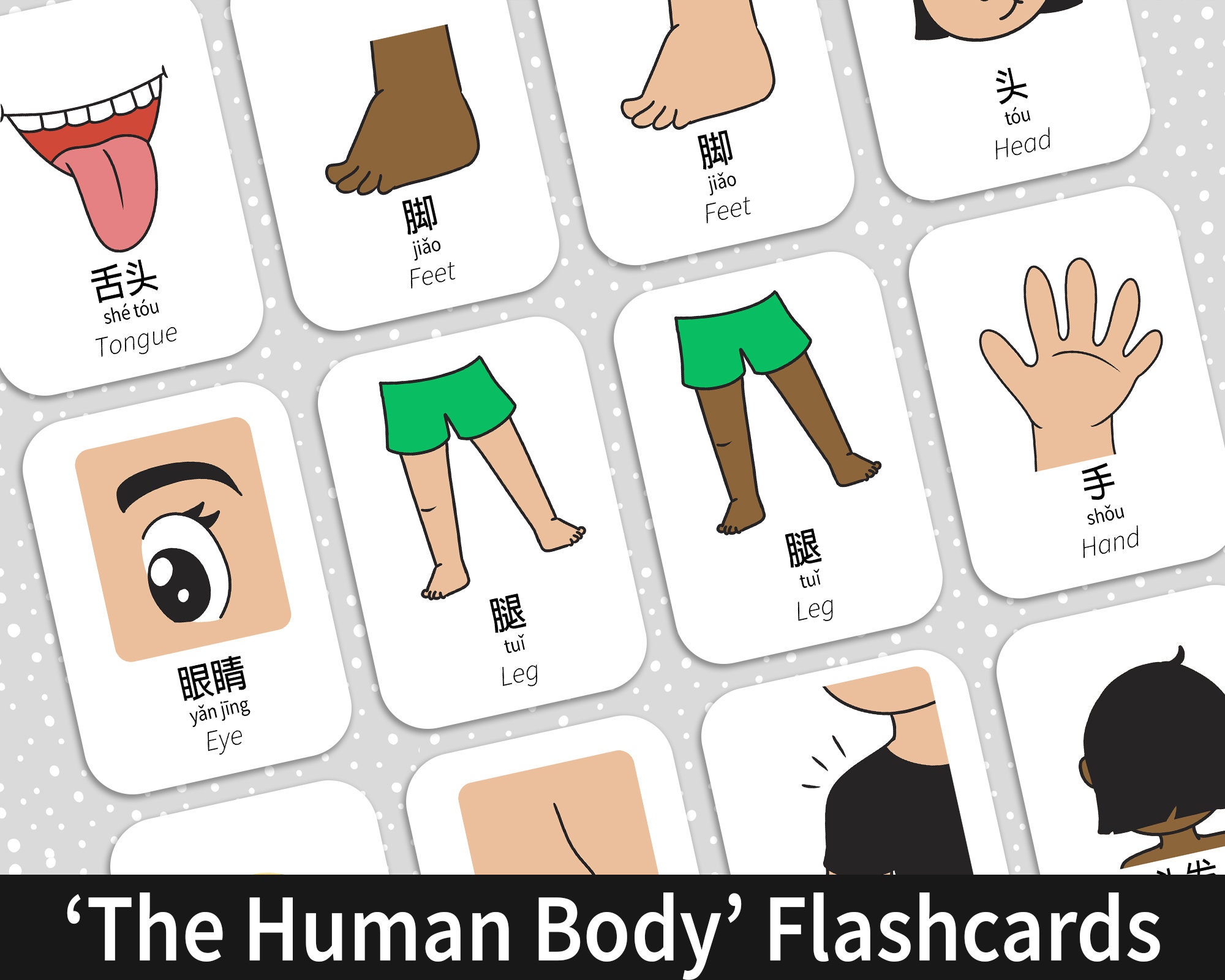 Learning Mandarin Bundle | 300+ Chinese Flashcards for Kids | Printable ...