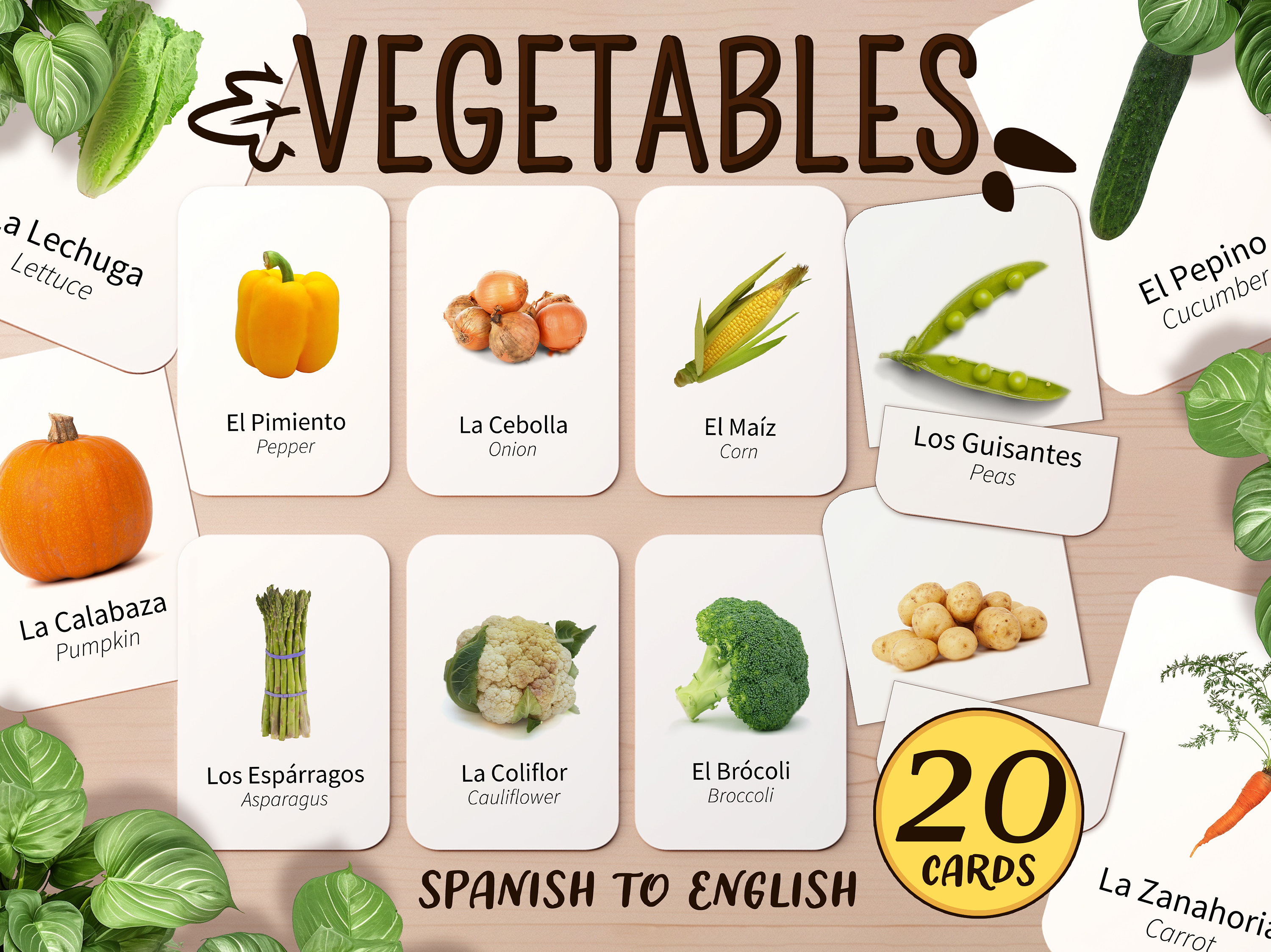 Vegetables Names In Spanish