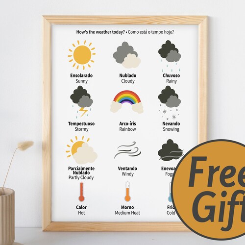 Portuguese Freebie Weather Poster Printable Preschool - Etsy
