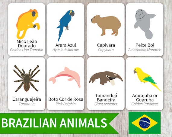 14 Portuguese & English Brazilian Animals Flashcard Bilingual | Etsy
