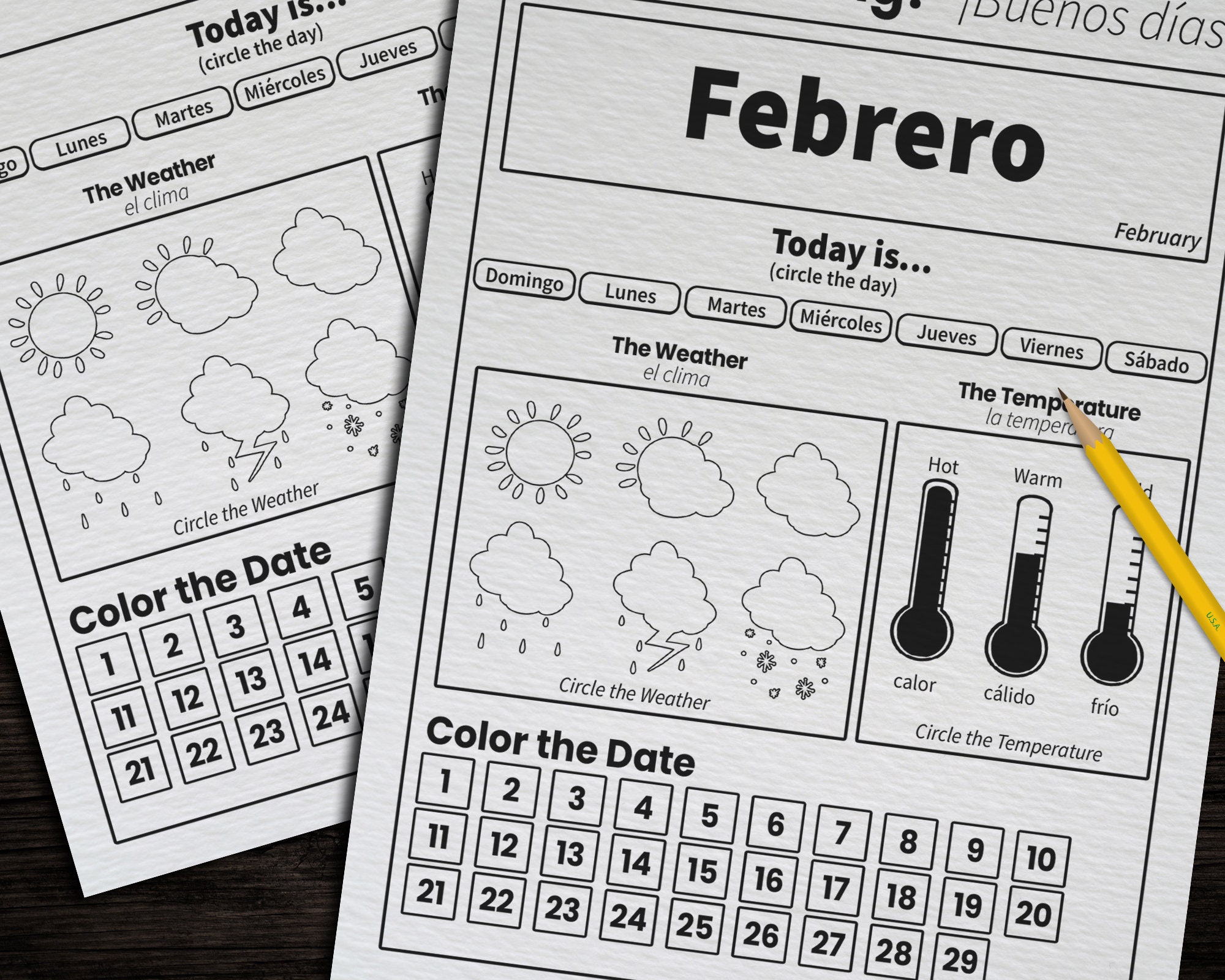 12 Spanish Calendar Worksheets for Kids Printable Spanish - Etsy UK