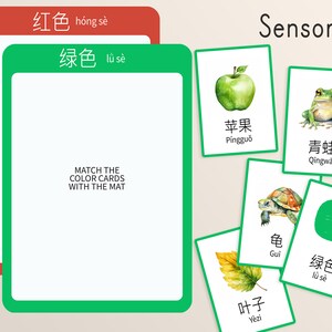 Mandarin Chinese Montessori Language Bundle | 120+ Pages of Science ...