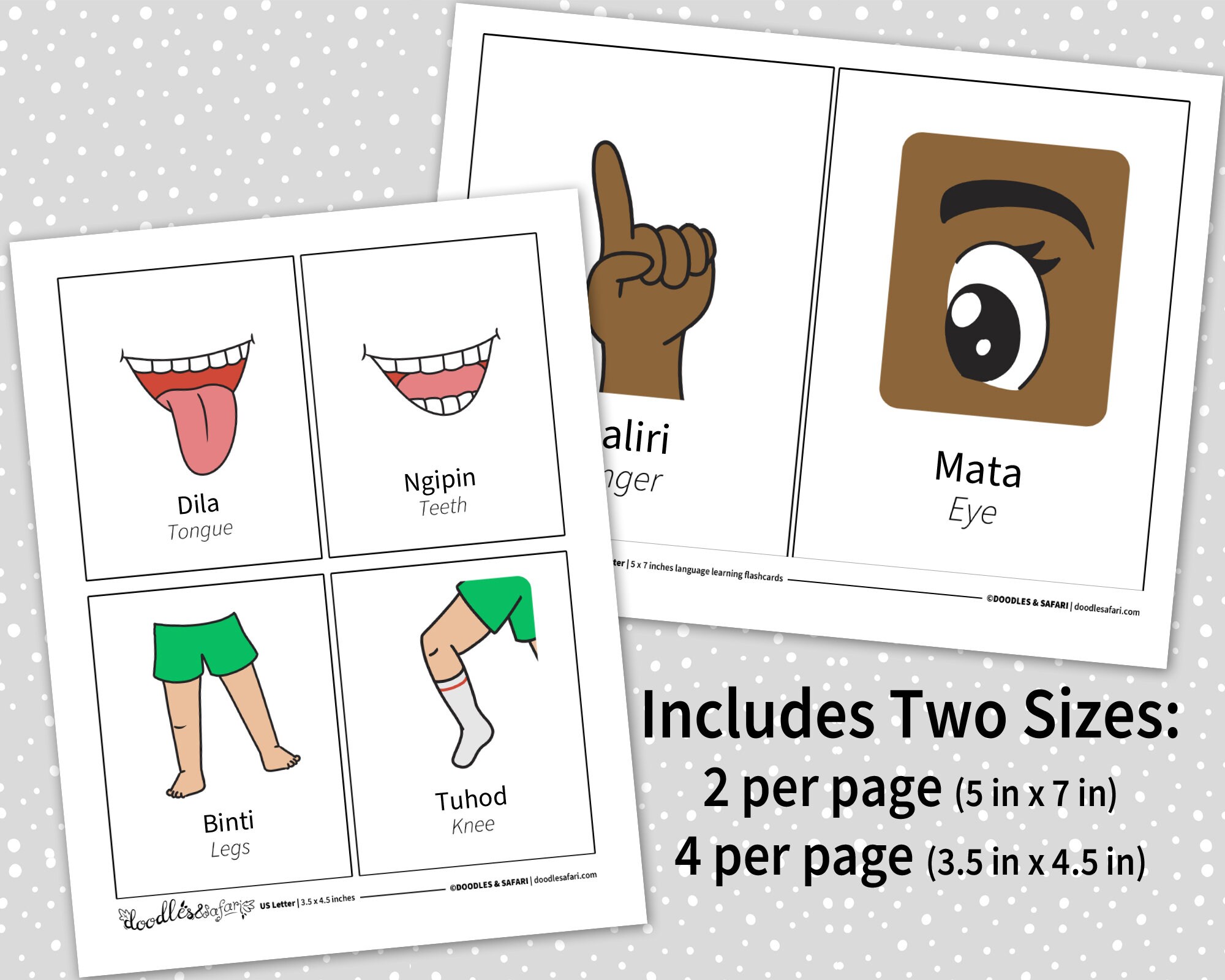 34 Filipino & English Human Body Bilingual Flashcards for Kids - Etsy