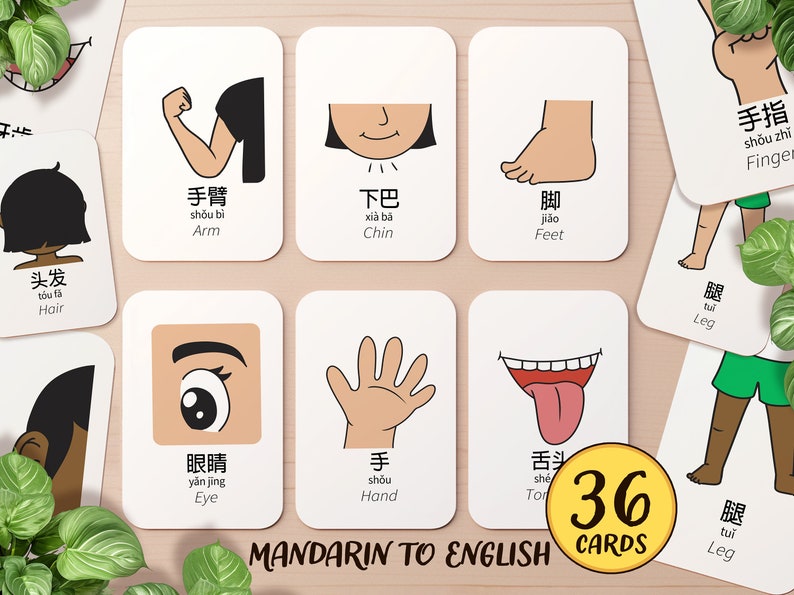 Body Parts in Mandarin Chinese & English: Bilingual Flashcards for Kids ...