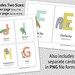 26 Portuguese & English ABC Bilingual Flashcards Printable - Etsy
