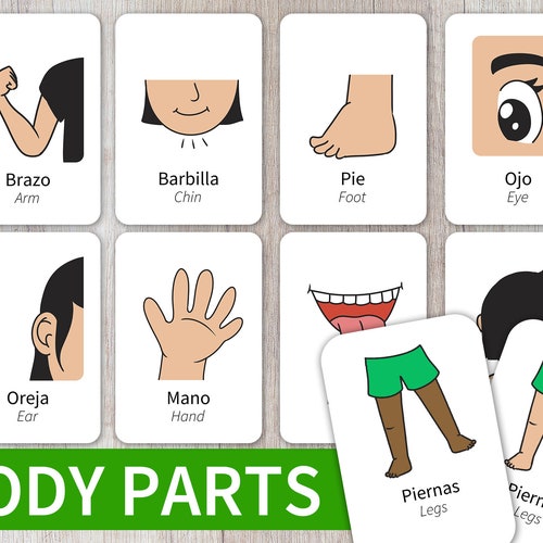 Bilingual Spanish English Coloring Pages Kids Preschool - Etsy