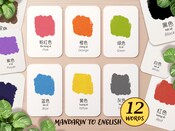 Body Parts Chinese Flash Cards Printable Mandarin Head Flash - Etsy Canada