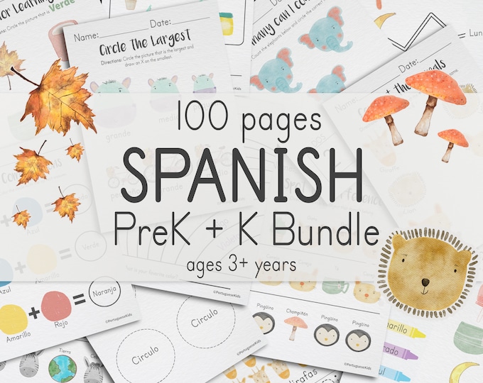 Spanish Language Learning Flashcards & Posters Printable - Etsy UK