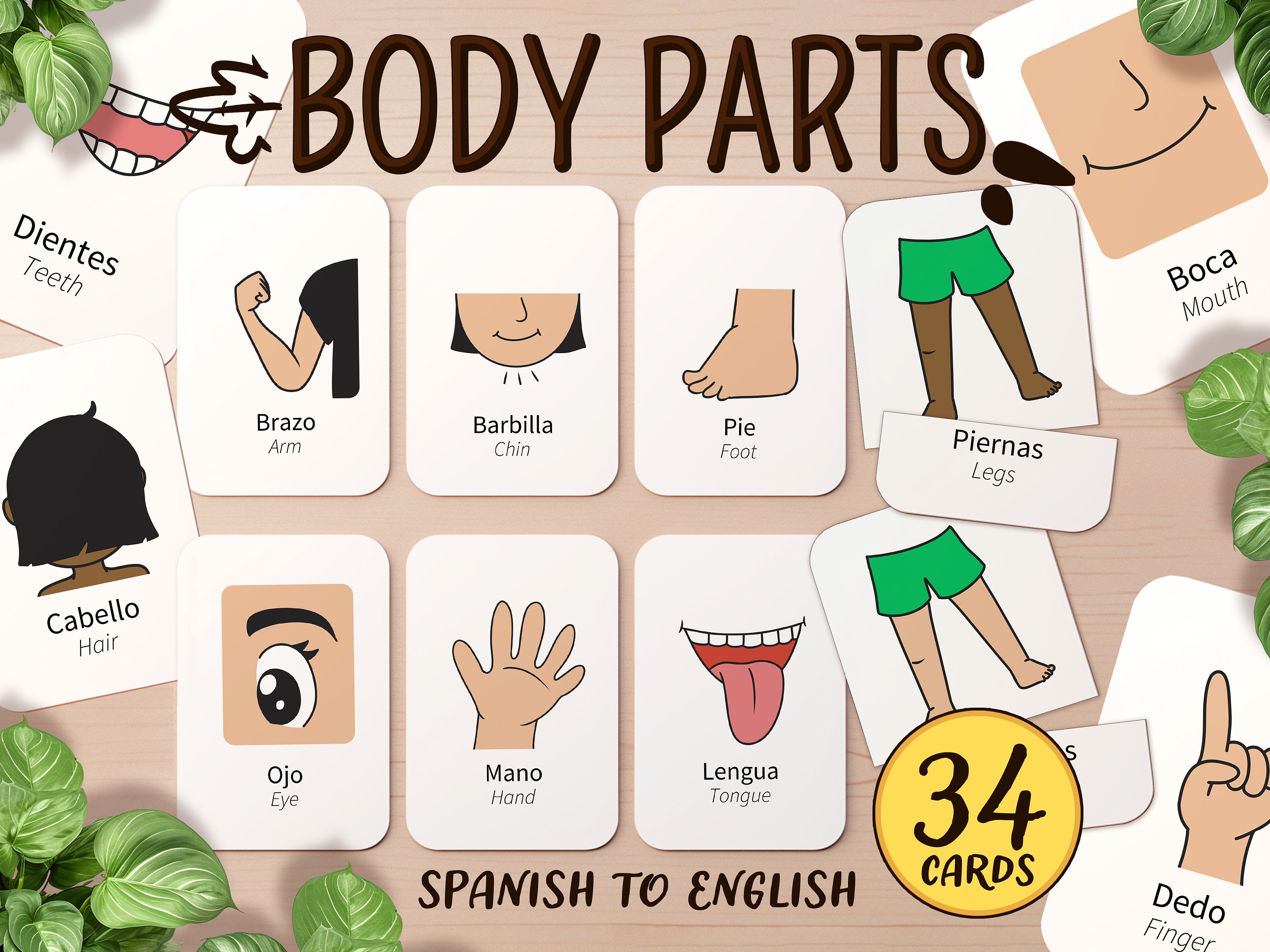 Spanish Body Parts For Kids