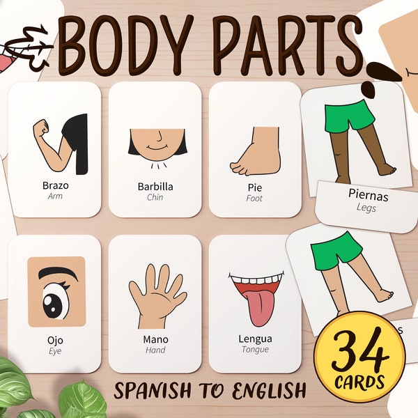 Kids Bilingual English Spanish - Etsy