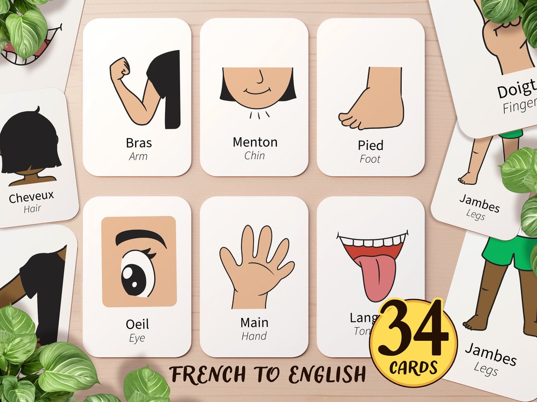 34 French & English Human Body Bilingual Flashcards for Kids | Learn ...