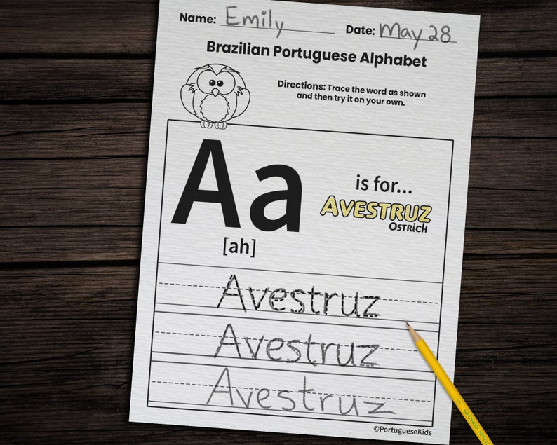 Brazilian Portuguese Learning Bundle 170 Vocabulary - Etsy