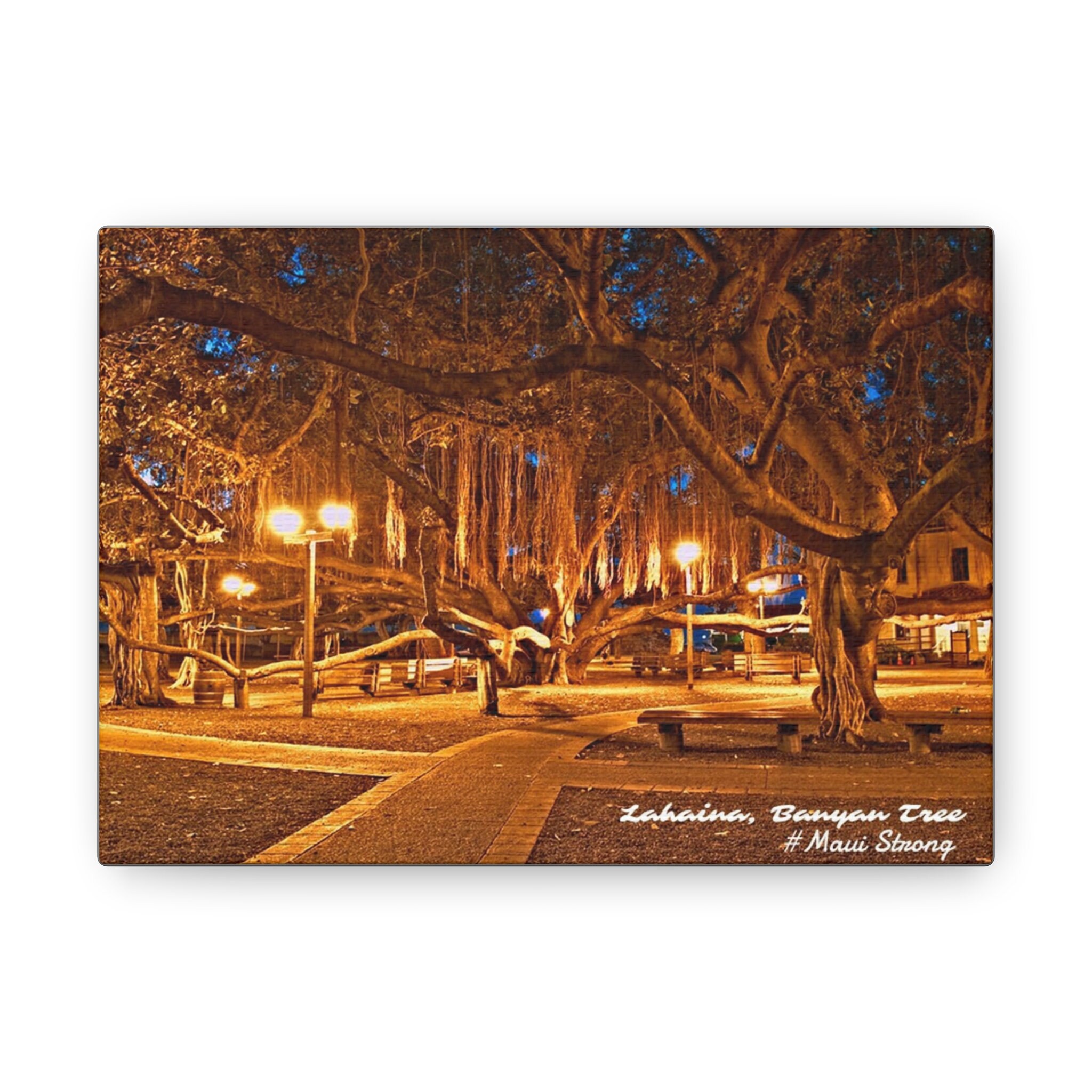 Lahaina Banyan Tree Maui Banyan Tree 50% Proceeds Are - Etsy