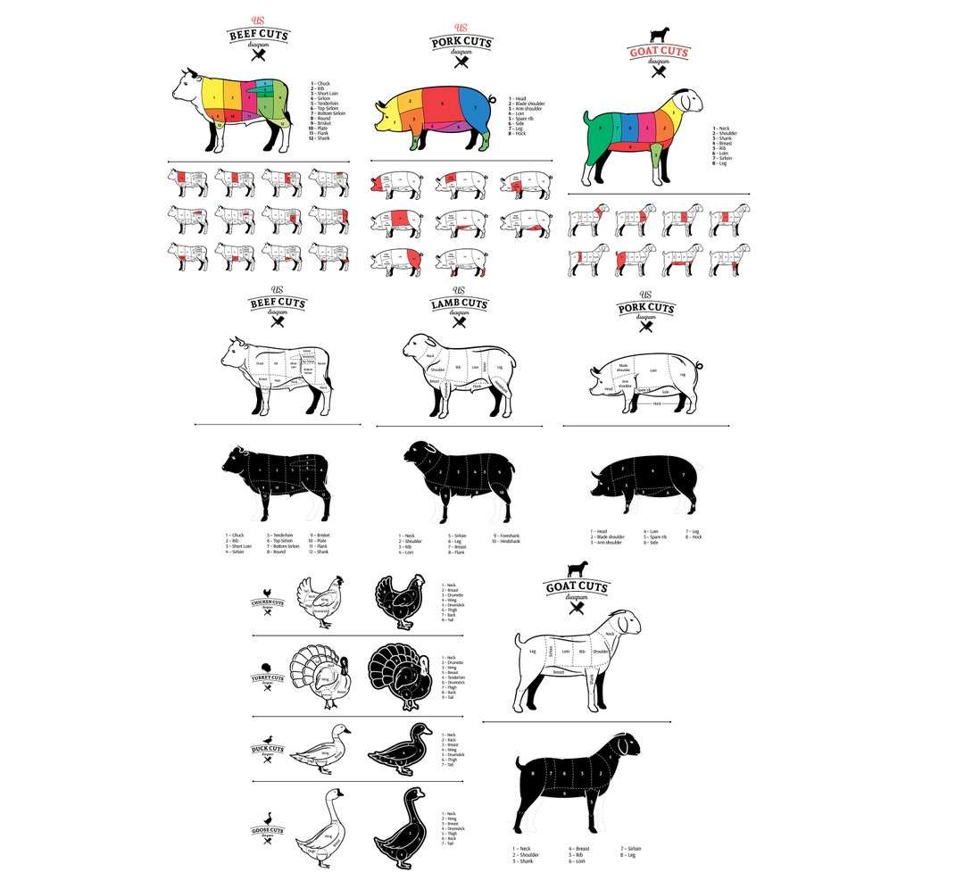 1 Svg Dxf Meat Cut Tables Laser Engrave Files Beef Pork Goat Lamb ...