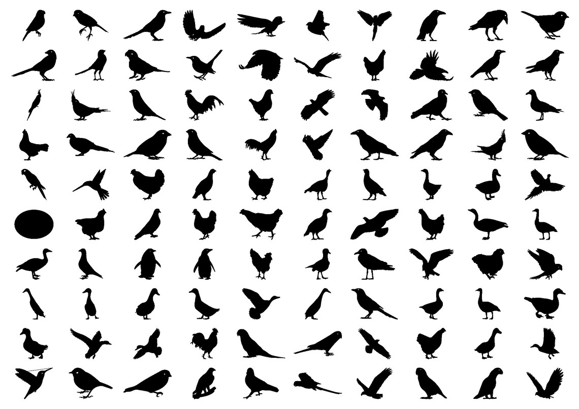 759 Birds SVG Lightburn Art Library Lbart Files for Cricut - Etsy