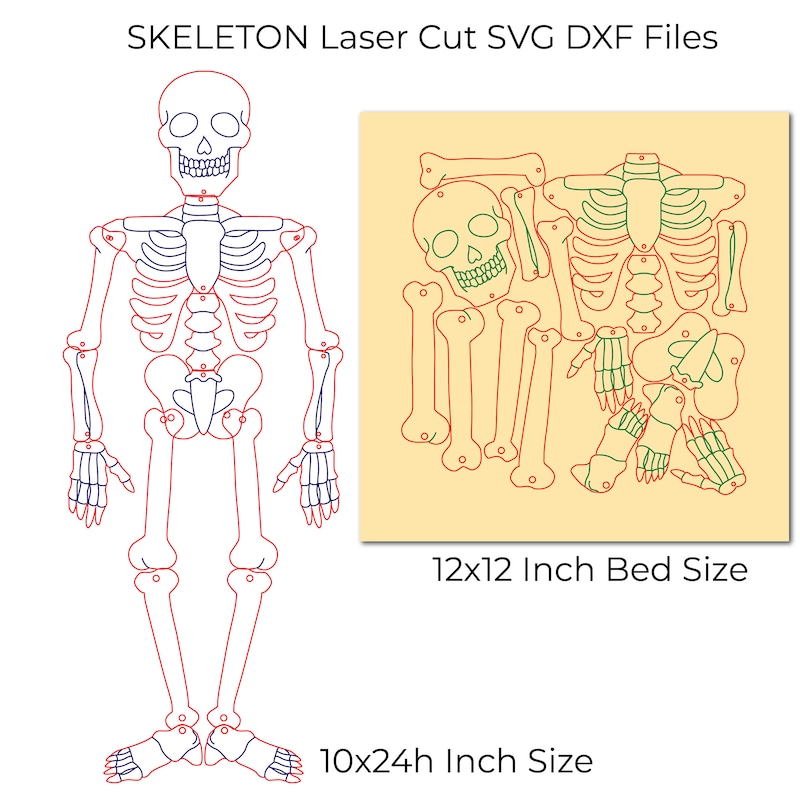 Skeleton Svg File - Etsy