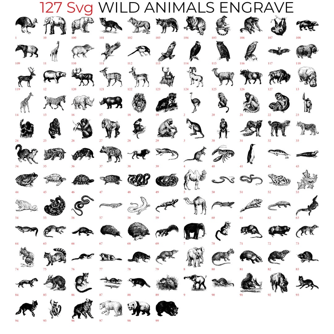 127 SVG Wild Animals Bundle for Lightburn Laser Engrave - Etsy Canada