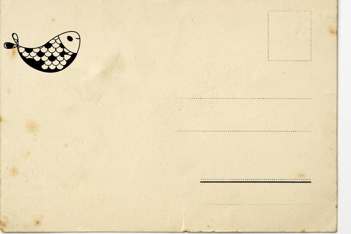 Kawaii Mermaid Cat Hand Drawn Outline Line Art PNG Clipart, Instant ...