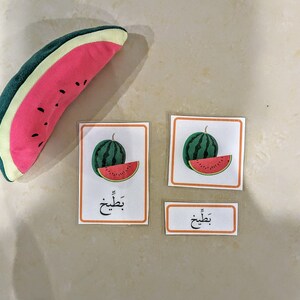 Montessori Inspired 3 Part Vocabulary Nomenclature Arabic Flashcards ...