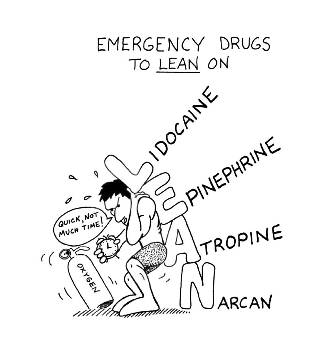 Mnemonic Booklet for Nursing Students - 129 Pages! - Etsy UK