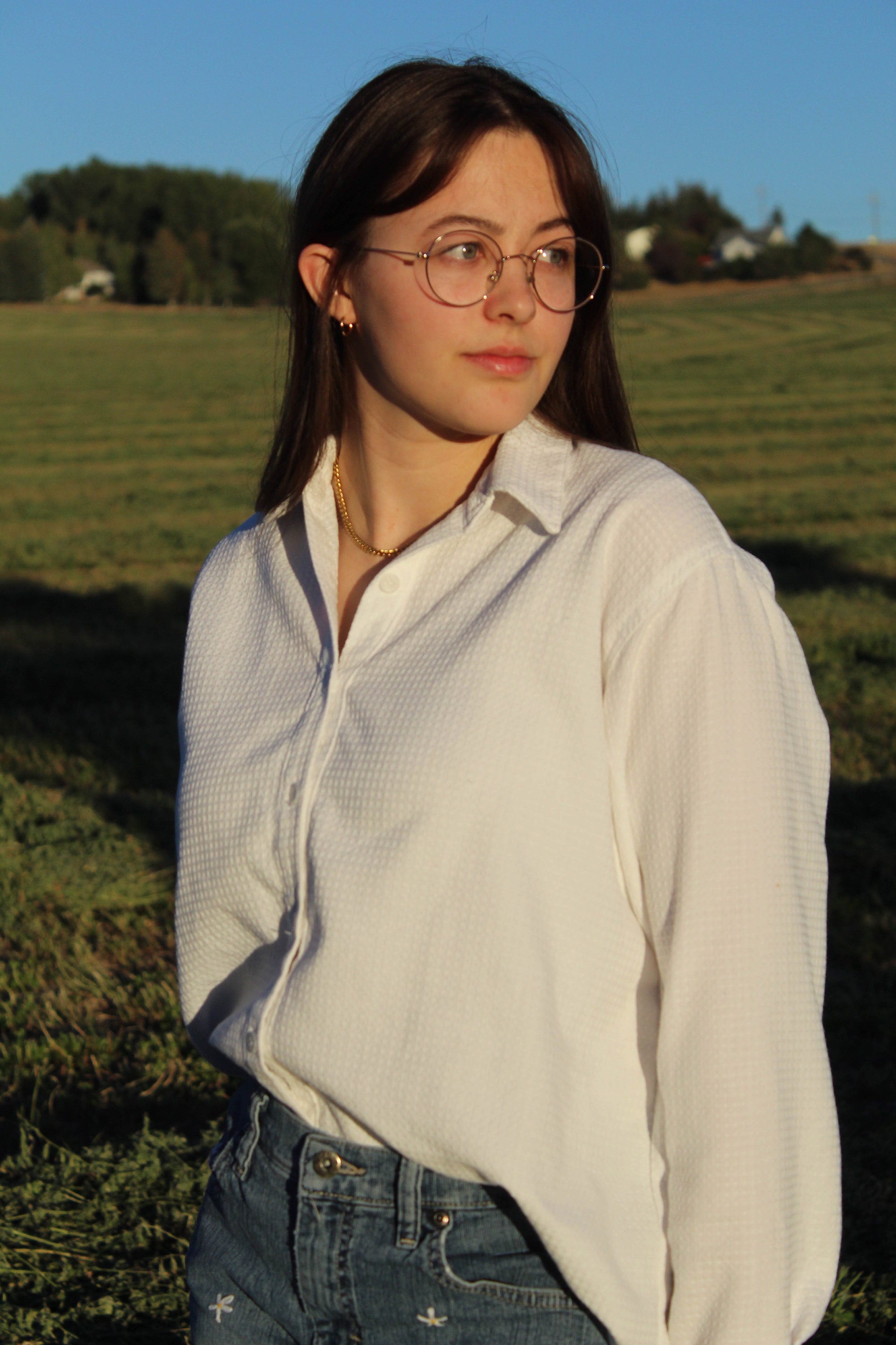 Button-up Shirt Pattern | Classic Long-sleeve and Short-sleeve Shirt ...