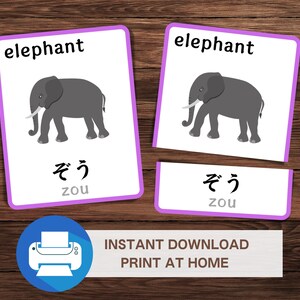 Japanese Flash Card, Learn Japanese, Favorites Bundle, Japan Vocabulary ...