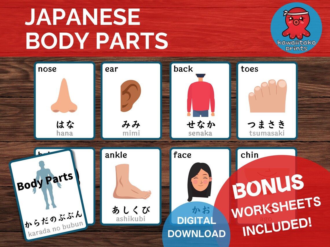 Japanese Body Parts Flashcards Learn Japanese Japan | Etsy