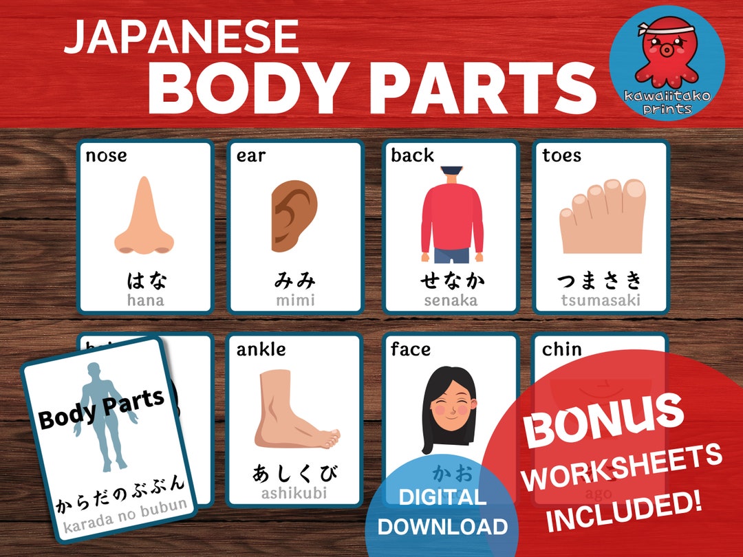 Japanese Body Parts Flashcards, Learn Japanese, Japan Vocabulary ...