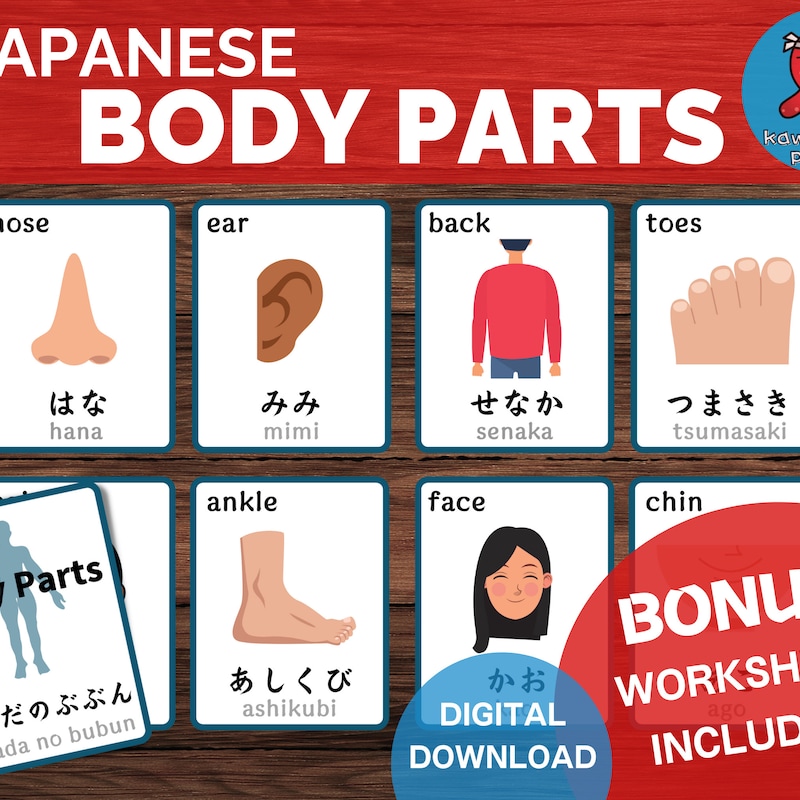 Body Parts in Japanese - Etsy