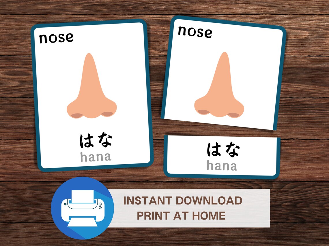 Japanese Body Parts Flashcards Learn Japanese Japan - Etsy