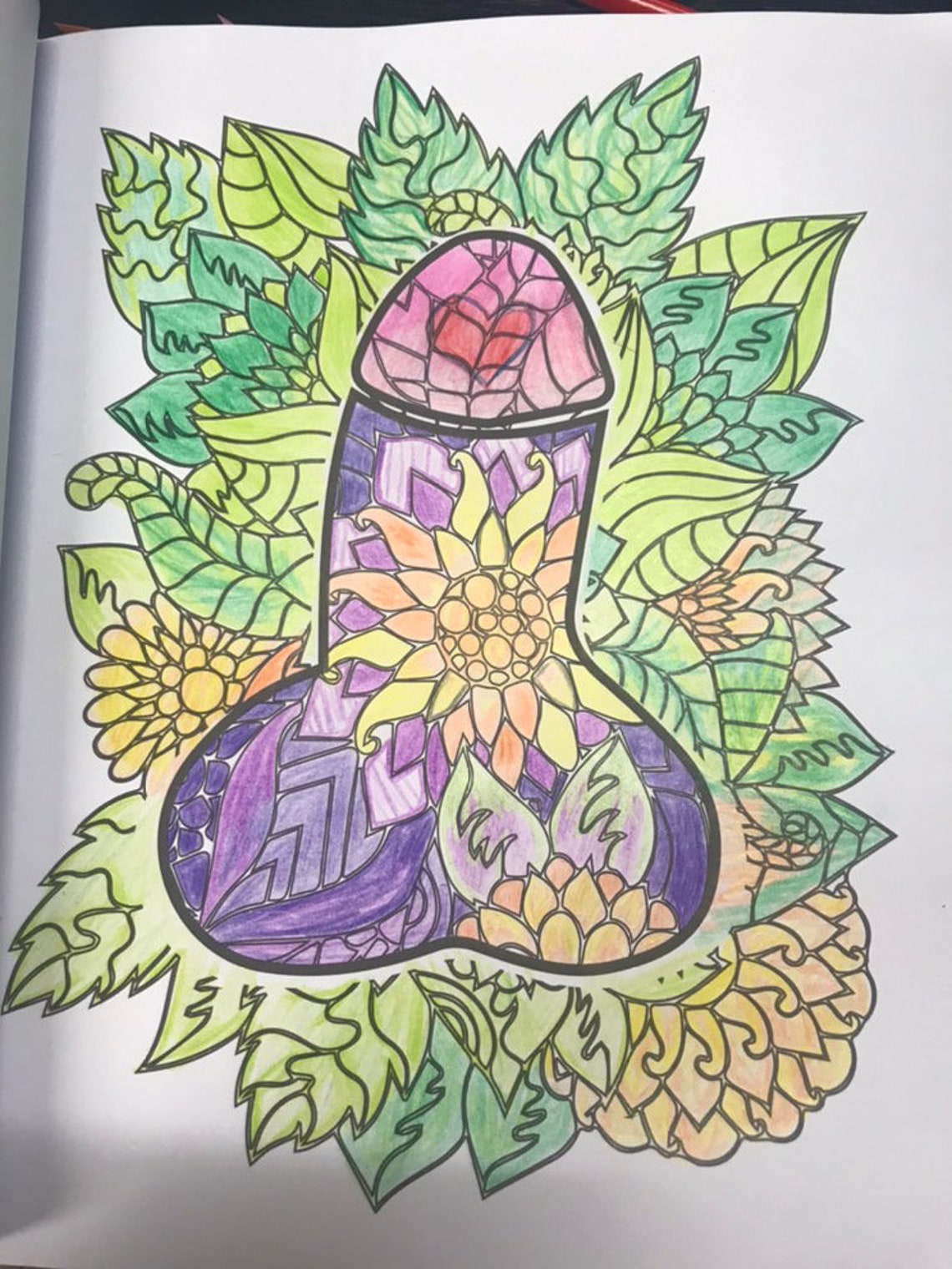 5 Pages Penis Coloring Book Adult Coloring Book Full Of Dicks Etsy