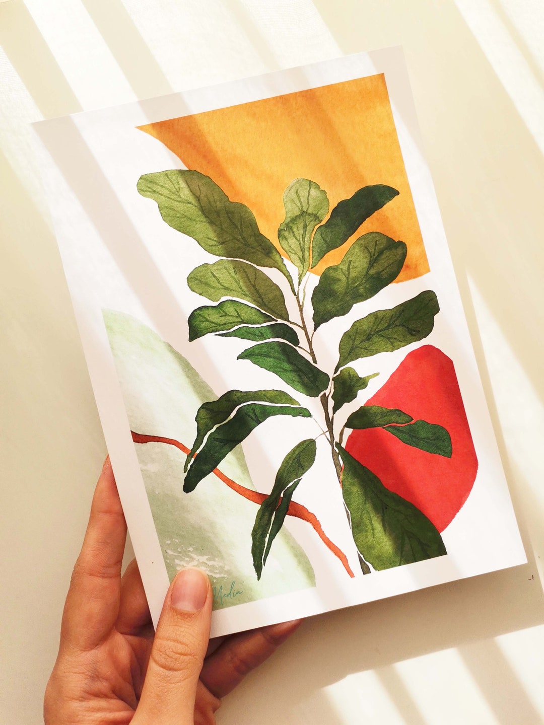 Art Print Ficus A4/A5 - Etsy