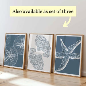 Coastal Wall Art, Sand Dollar Poster, Beachy Print, Blue Beach House ...