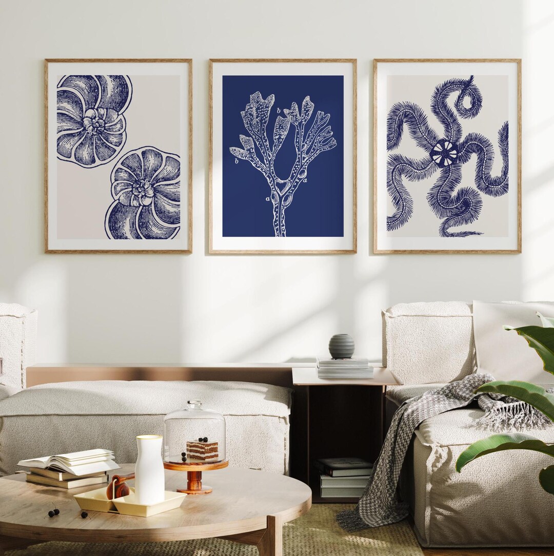 Sea Shell Print Blue Coastal Wall Art Set of 3 Starfish Poster Vintage ...