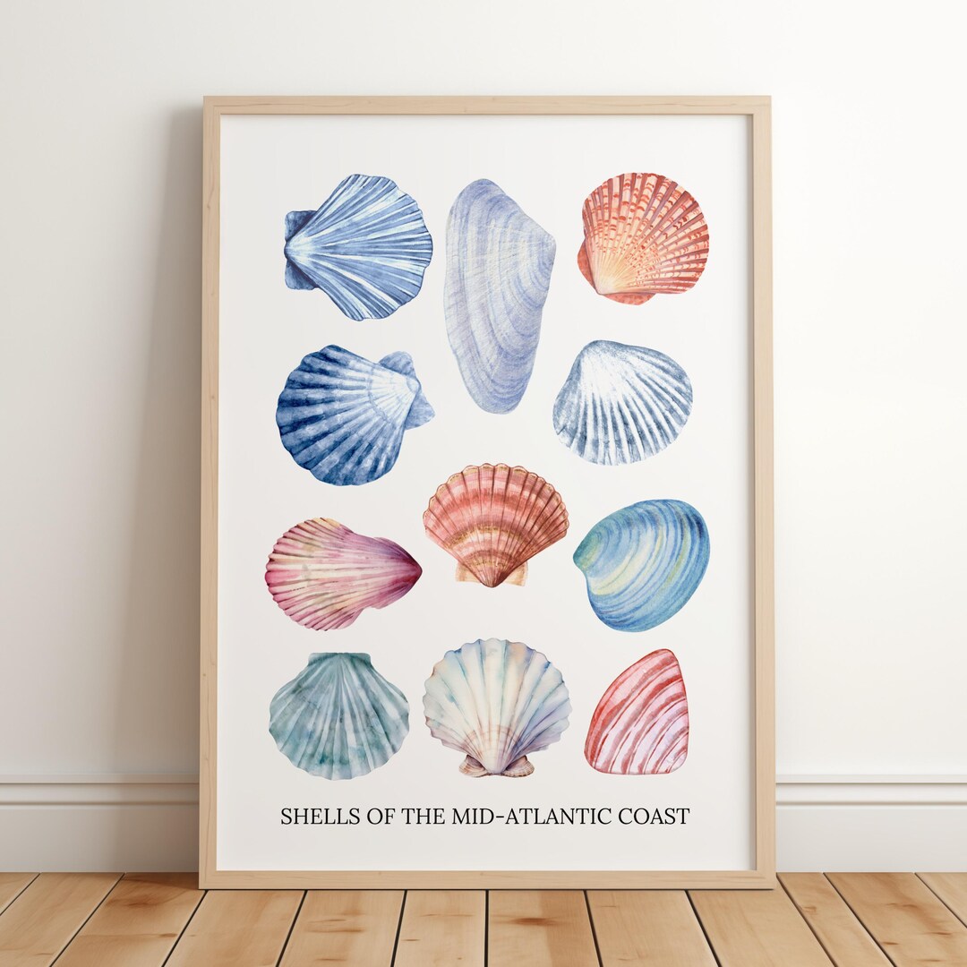Seashell Poster, Coastal Print, Eastcoast Beachy Wall Art, Printable ...