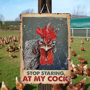 Chicken Stop Staring at My Cocker Vintage Home Decor, Room Decor Metal ...