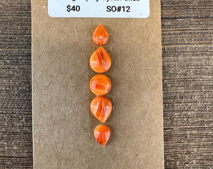 Orange Spiny Oyster Shell #SO12 - Etsy