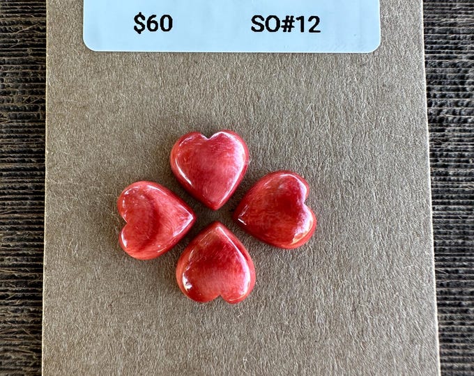 Red Spiny Oyster Shell #SO12 - Etsy