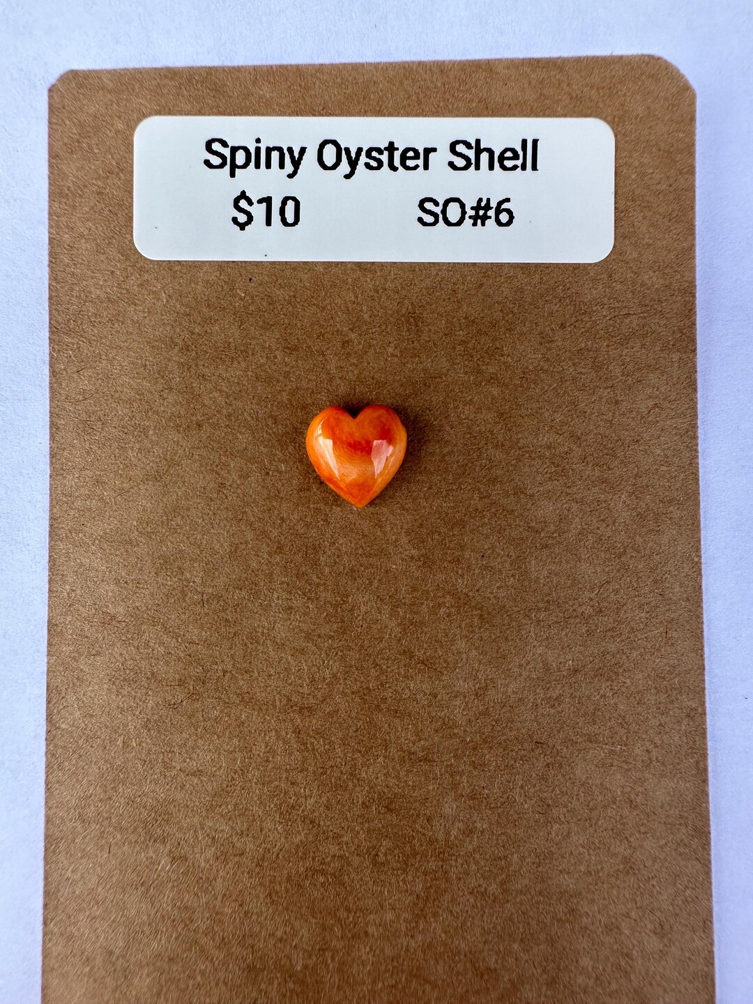 Spiny Oyster Shell #SO6 - Etsy