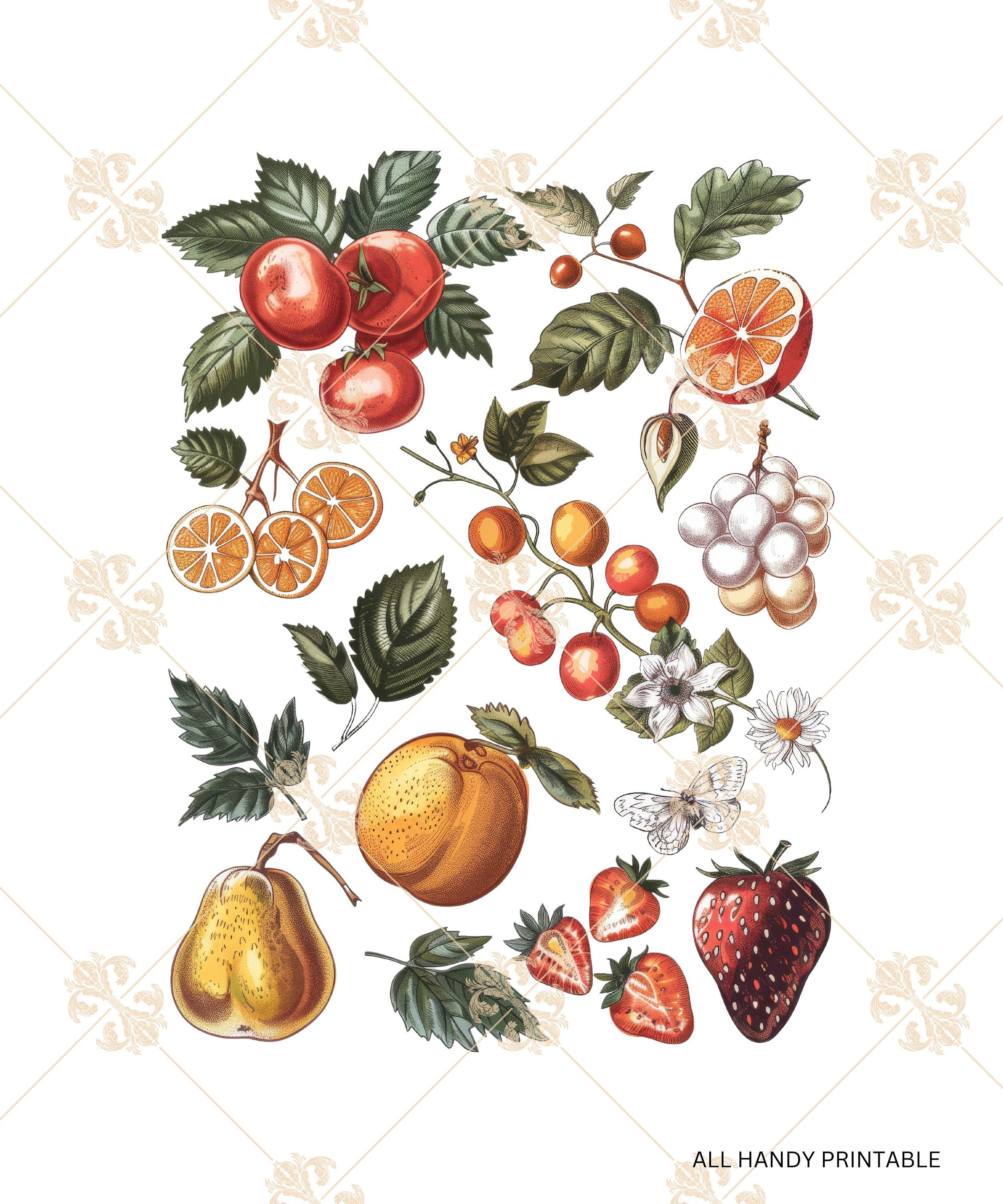 Retro Summer Fruits PNG, Vintage Boho Fruit, Botanical Nature, Summer ...