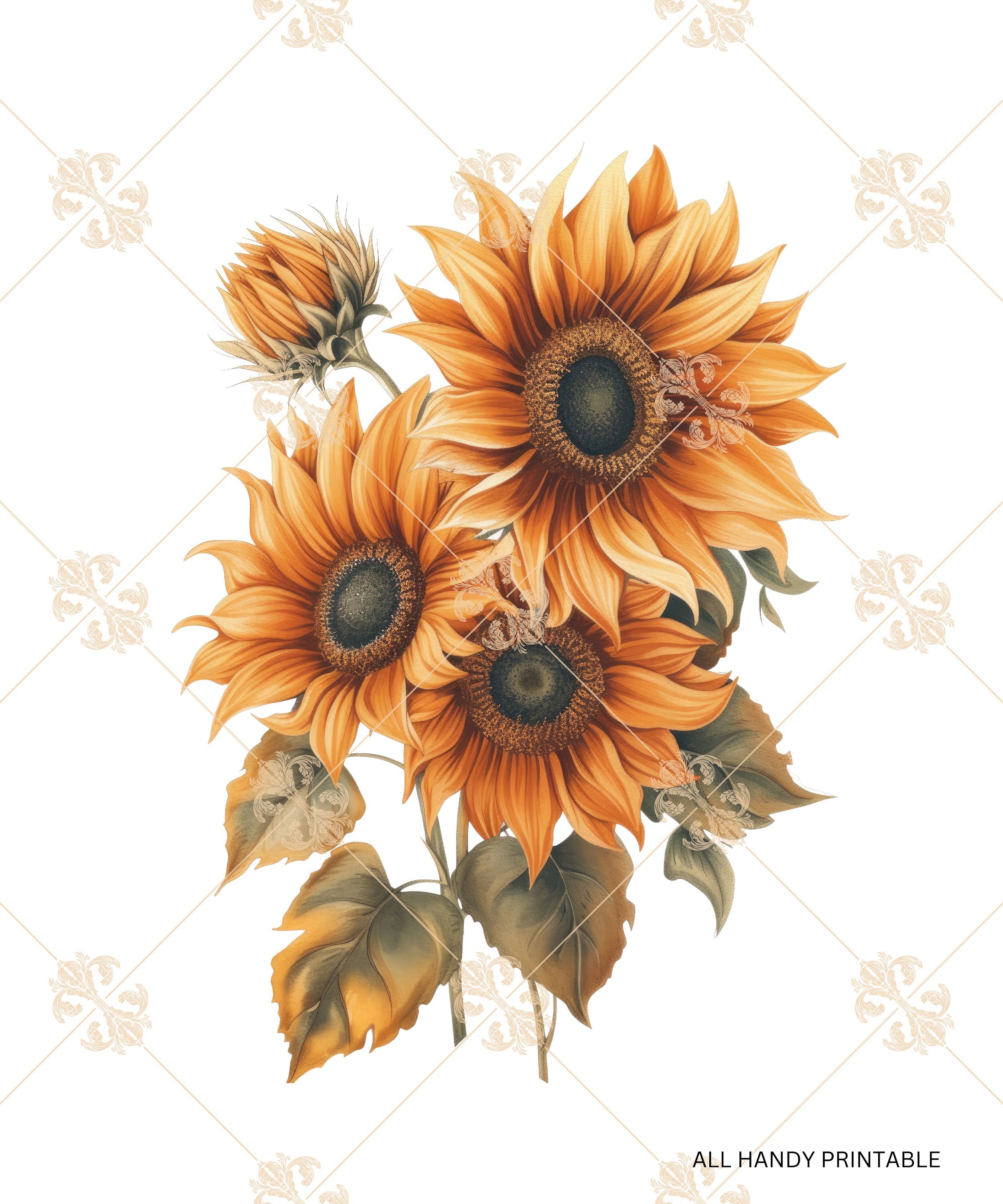 Boho Vintage Sunflowers PNG, Retro Flower Bouquet, Summer Fall Garden ...