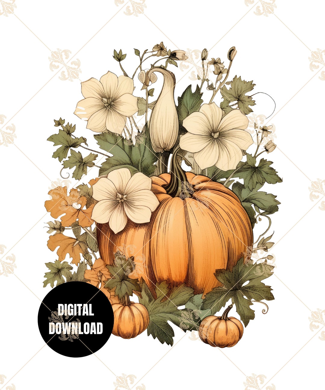 Vintage Pumpkin Floral PNG, Pumpkin Patch Farm Fall Flower Halloween ...