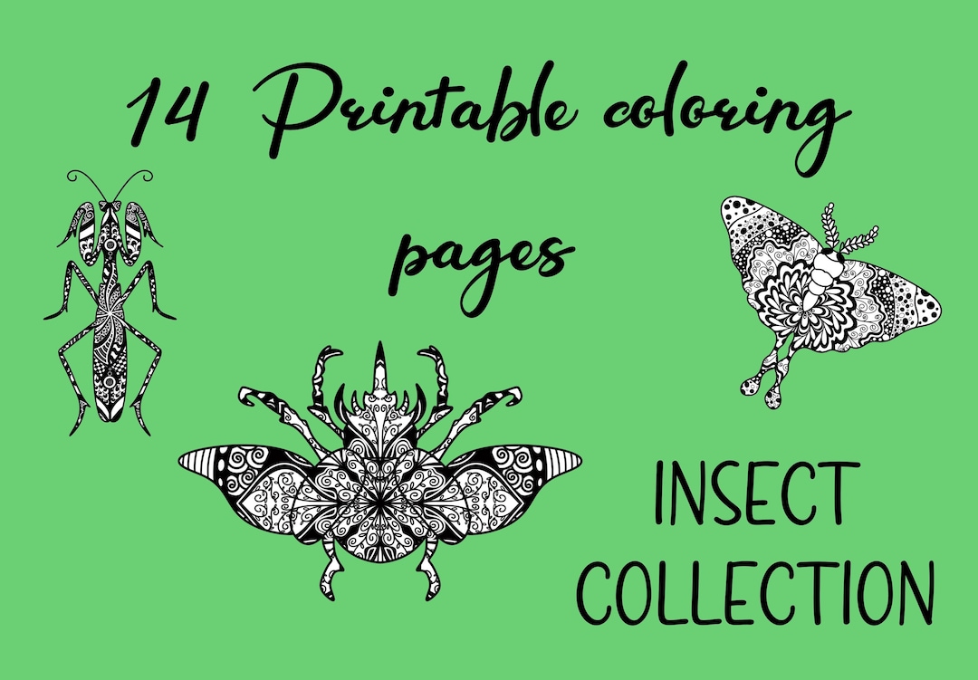 14 Printable Coloring Pages! Bug Themed Mandala Designs With Elements ...
